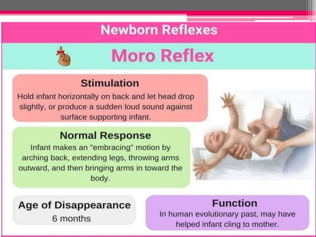 New born reflexes | PPTX | Parenting Babies and Toddlers | Parenting