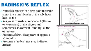 NEWBORN REFLEXES/ PRIMITIVE REFLEXES | PPTX