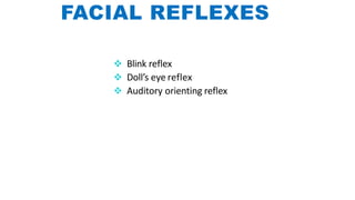 NEWBORN REFLEXES/ PRIMITIVE REFLEXES | PPTX