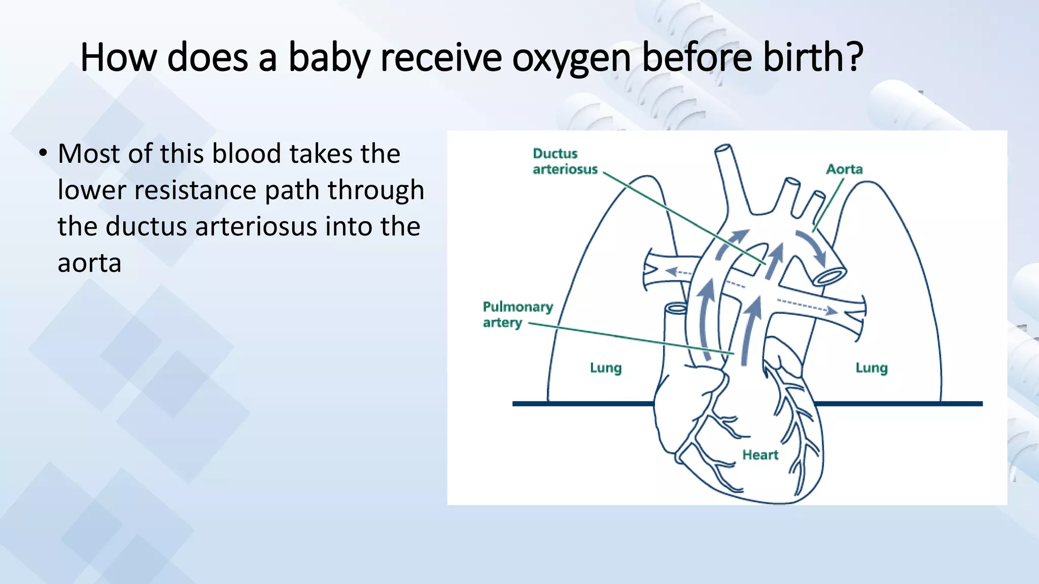 Newborn Resuscitation | PPTX