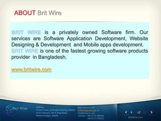 Brit Wire Web & Software Firm Company Profile | PPTX