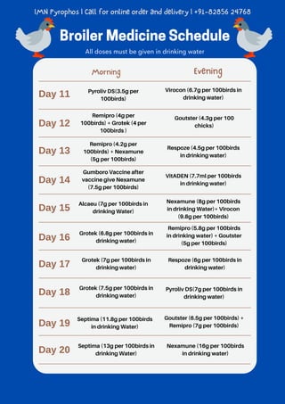 Broiler Medicine Schedule Chart - Broiler Farming Made Easy | PDF