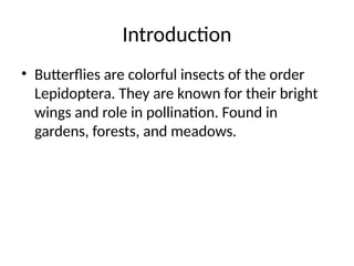 _Butterfly lifecycle_Presentation class 5 | PPT