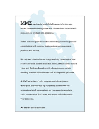 MMZ Introduction | PDF