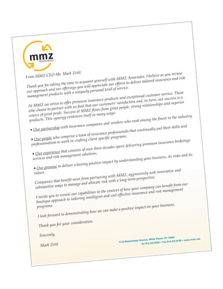 MMZ Introduction | PDF