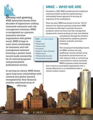 MMZ Introduction | PDF