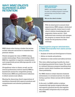 MMZ Introduction | PDF