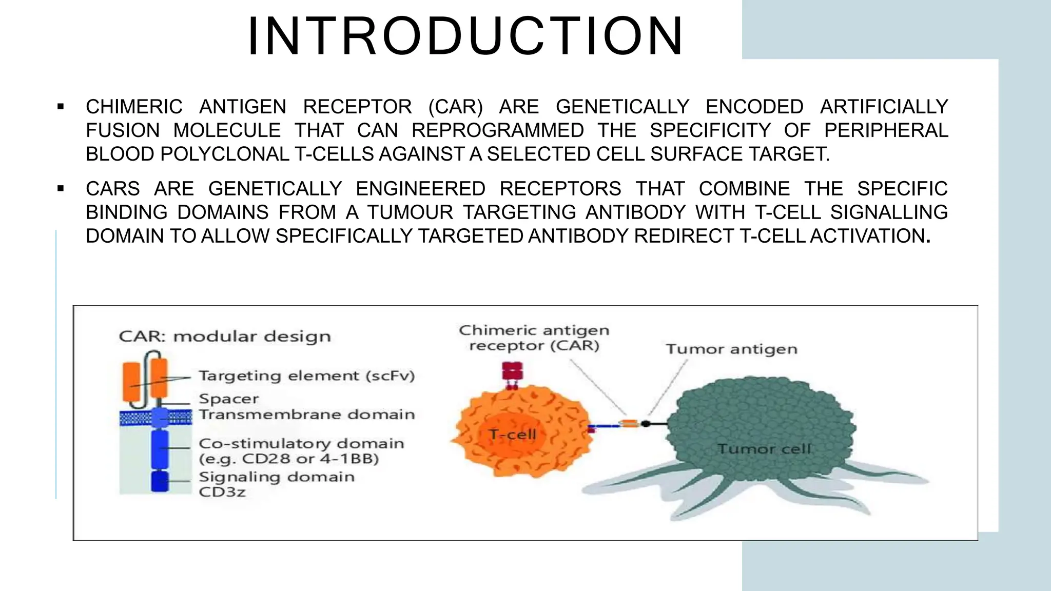 CAR T cell Therapy usable for cancer biology.... | PPTX | Genetics ...