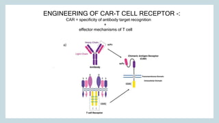 CAR T cell Therapy usable for cancer biology.... | PPTX