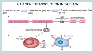 CAR T cell Therapy usable for cancer biology.... | PPTX