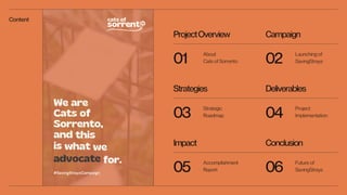 Case Study: Saving Strays Development Program | PDF