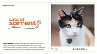 Case Study: Saving Strays Development Program | PDF