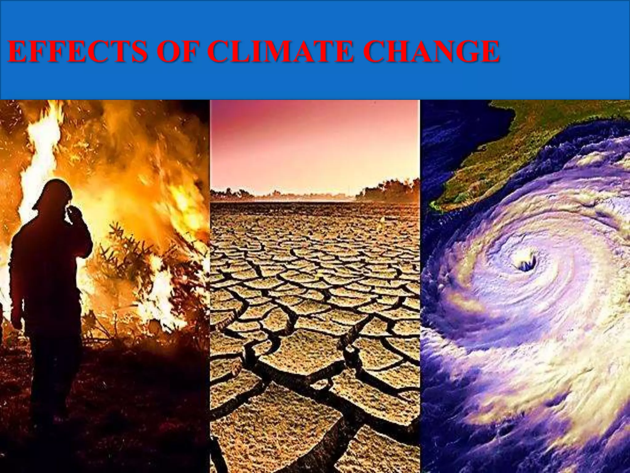 climate change ppt | PPTX
