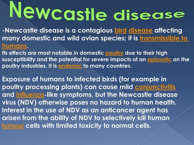 Newcastle disease | PPTX | Infectious Diseases | Diseases and Conditions