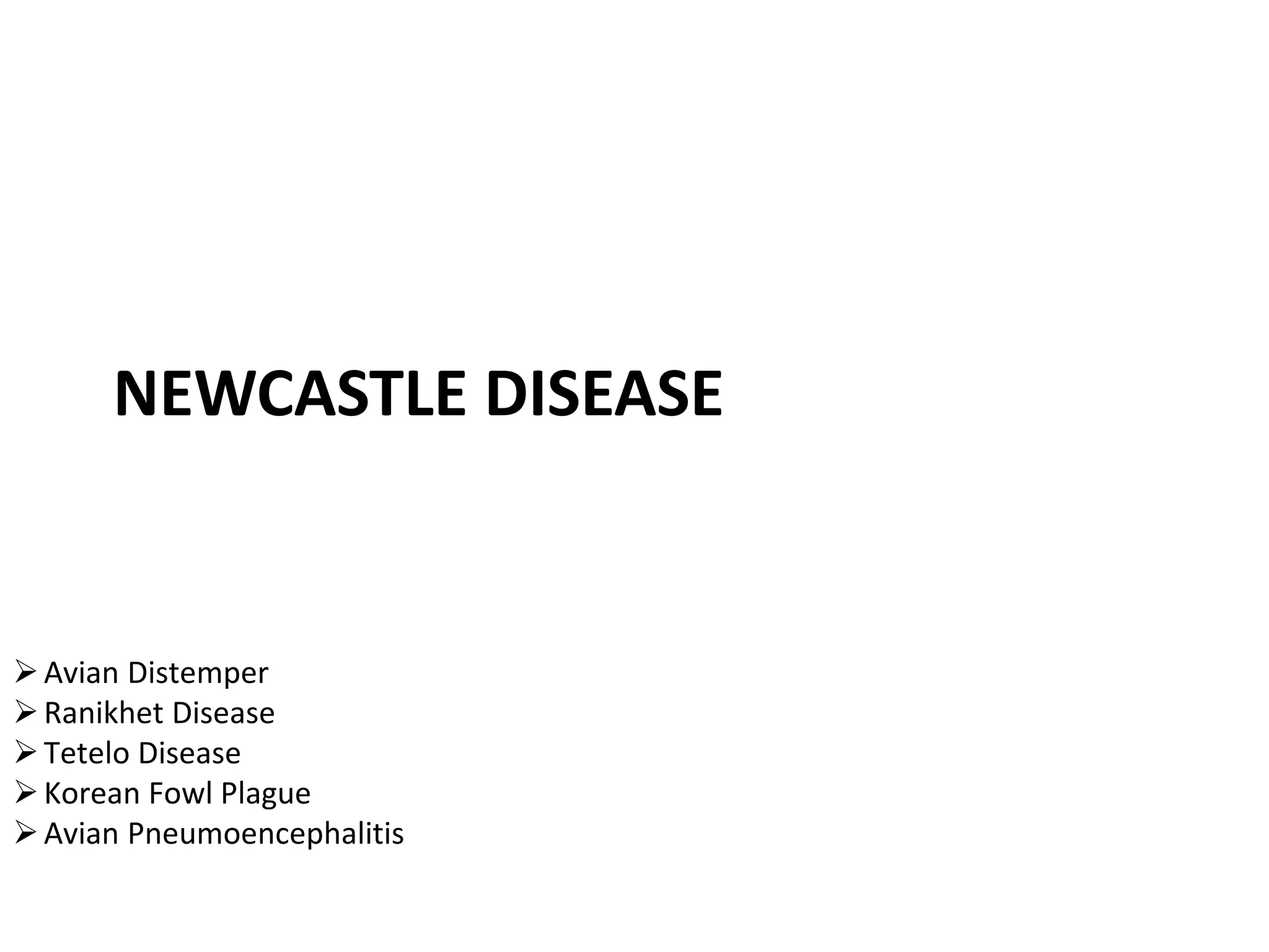 New Castle Disease | PPTX