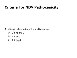 New Castle Disease | PPTX