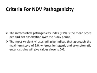 New Castle Disease | PPTX