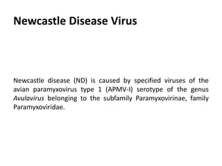 New Castle Disease | PPTX