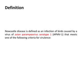 New Castle Disease | PPTX