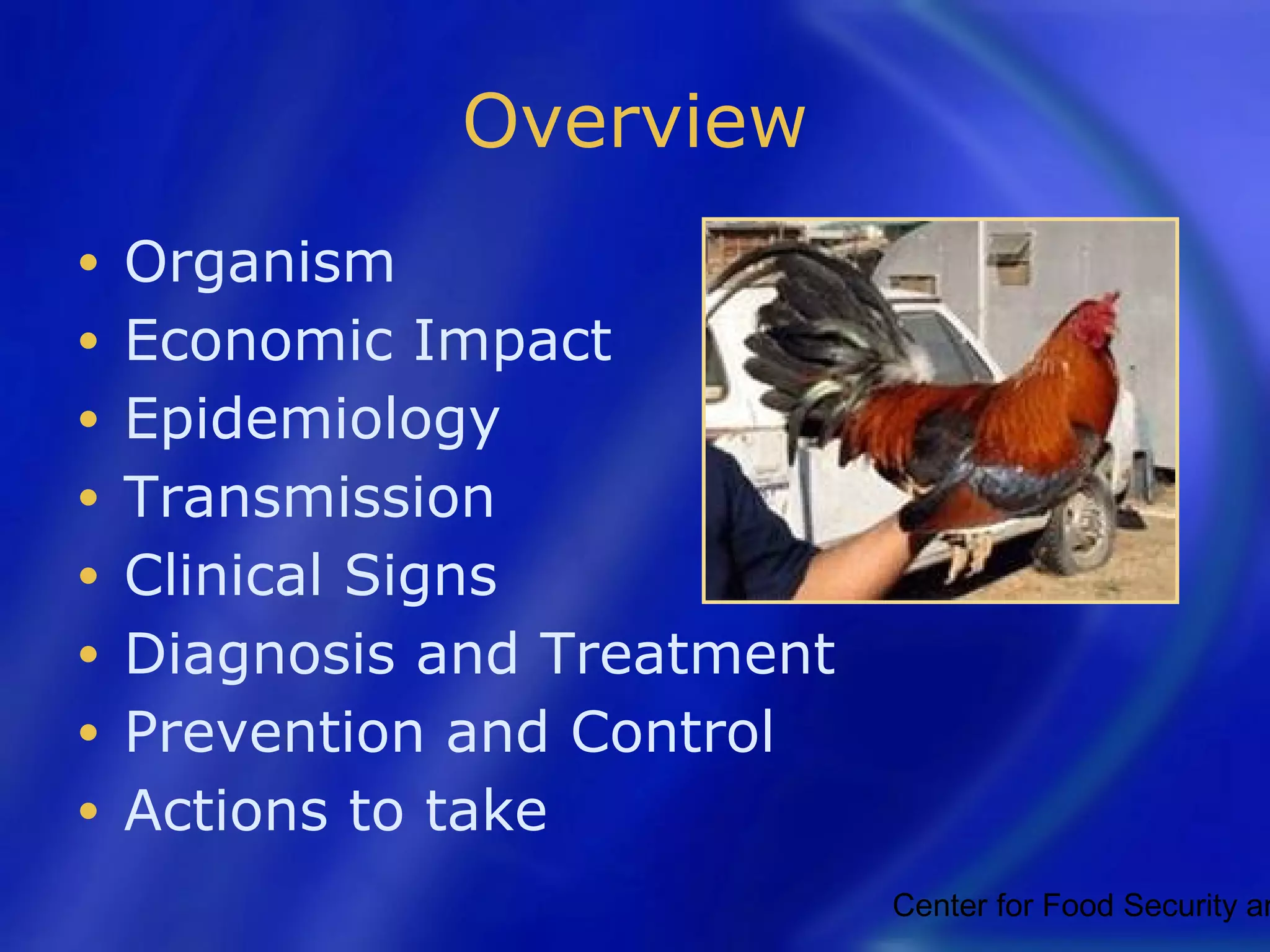 Newcastle disease | PPT