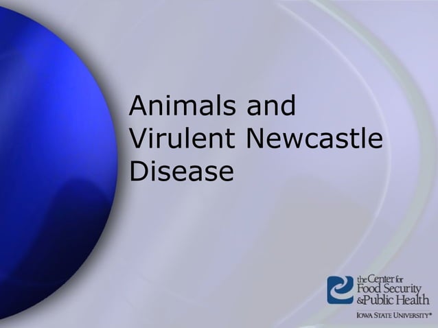 Newcastle disease | PPT | Infectious Diseases | Diseases and Conditions