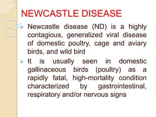 Newcastle disease | PPTX