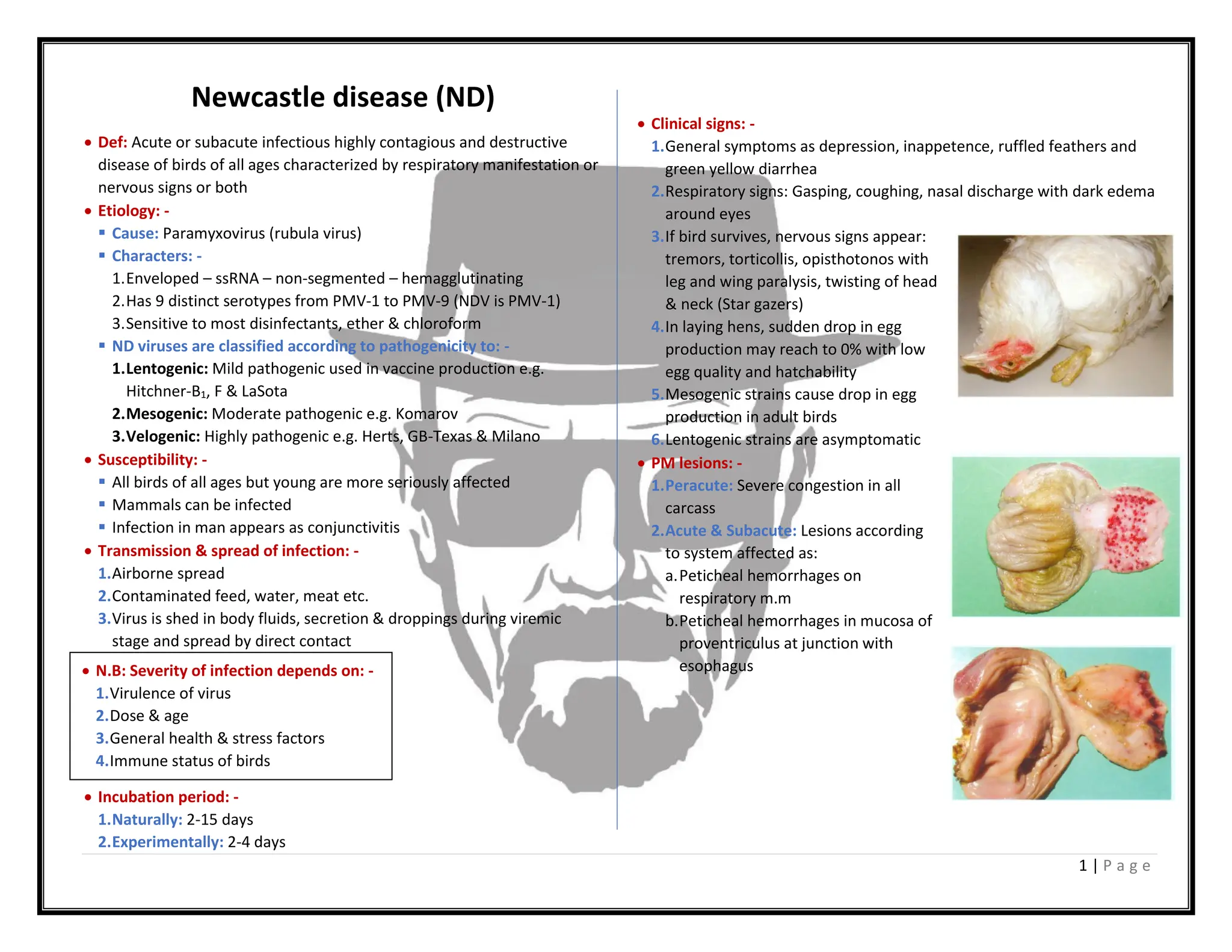 Newcastle disease viral poultry lecturek | PDF