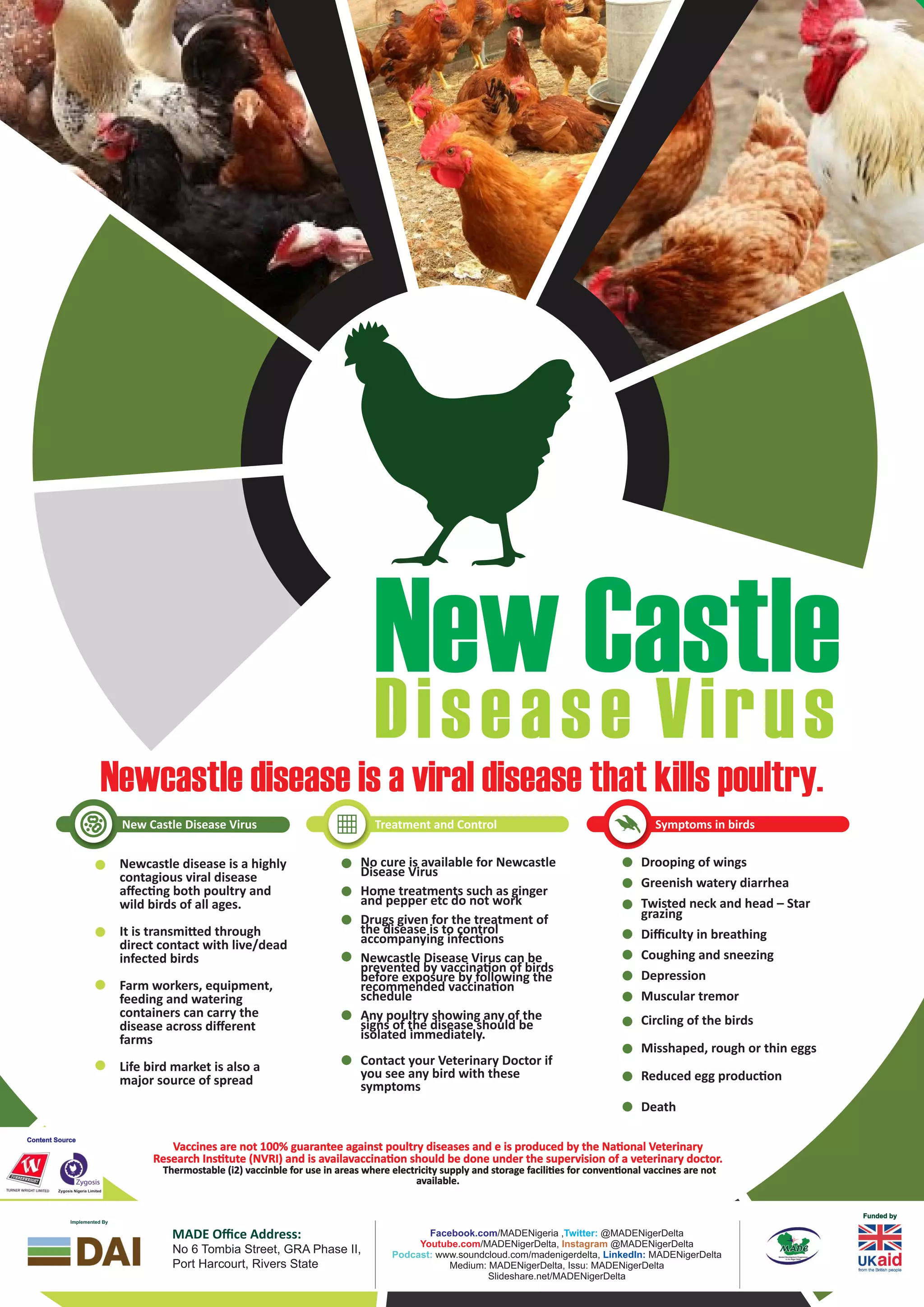 Understanding New castle disease | PDF