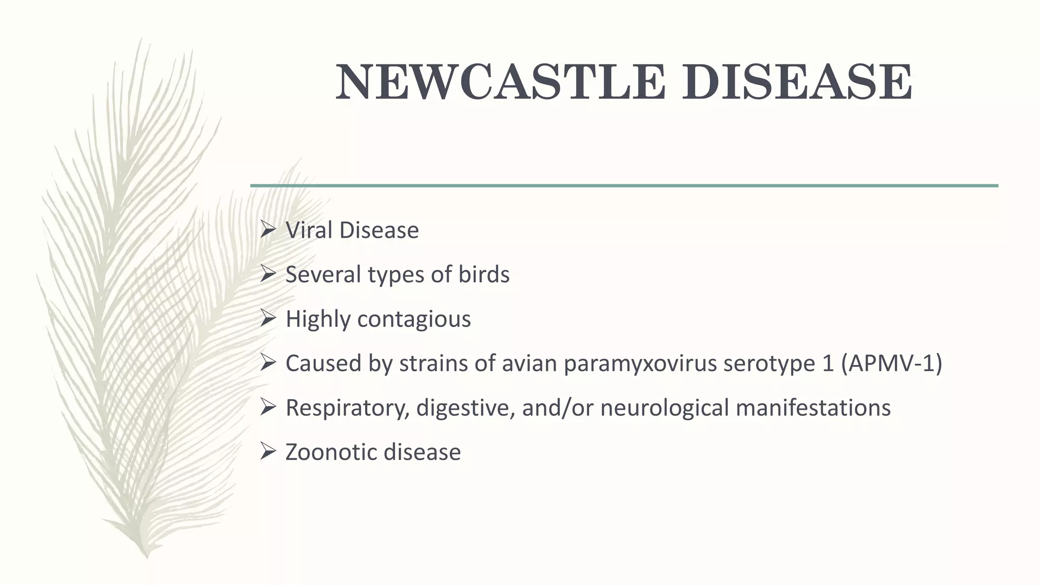 Newcastle disease outbreak in region III by Dr E Lapuz | PDF