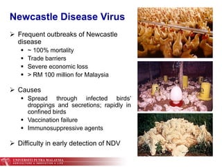 Newcastle disease virus: from poultry vaccine to malignacy hero | PDF