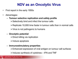 Newcastle disease virus: from poultry vaccine to malignacy hero | PDF