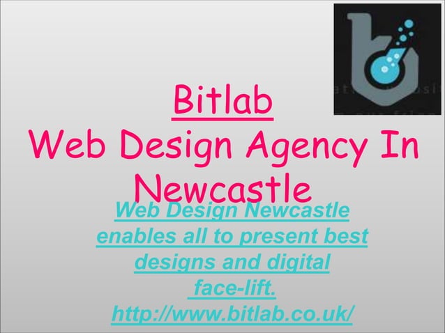 Newcastle web design | PPT