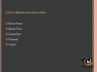 New cattle breeds of india | PPTX