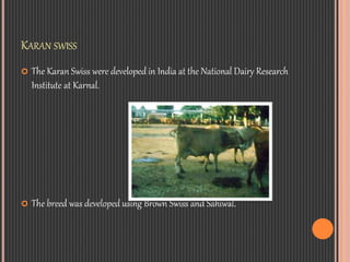 New cattle breeds of india | PPTX