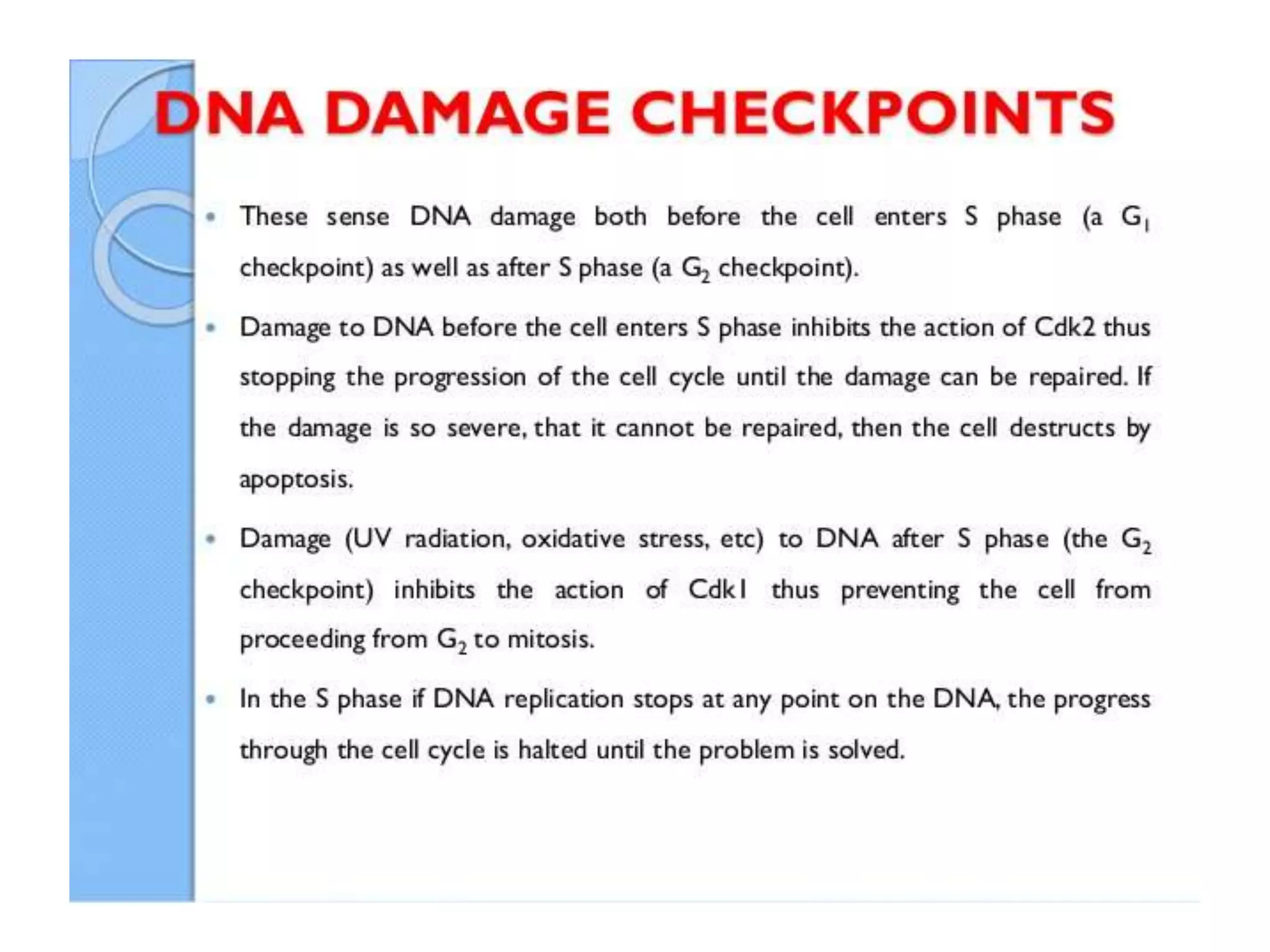 Cell cycle checkpoints.pptx