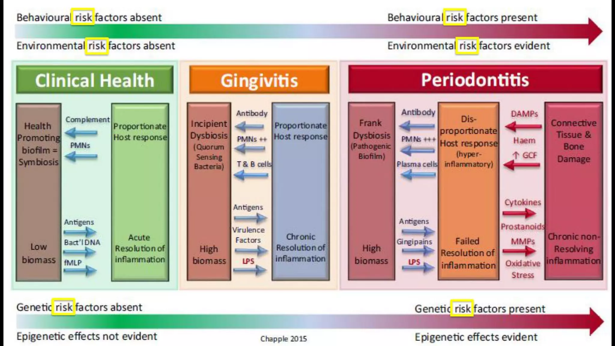 New Classification of Periodontitis(5).pdf