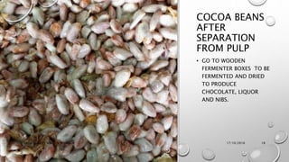 Cocoa vinegar from cocoa pulp COLD PROCESSED the optimum for your ...