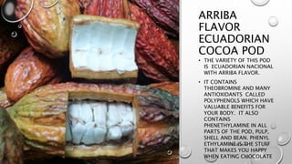 Cocoa vinegar from cocoa pulp COLD PROCESSED the optimum for your ...