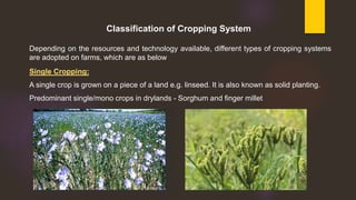 New concepts and approaches in cropping systems | PPTX