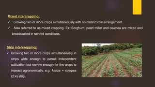 New concepts and approaches in cropping systems | PPTX