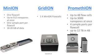 New data from giab genomes intro and ultralong nanopore | PPT