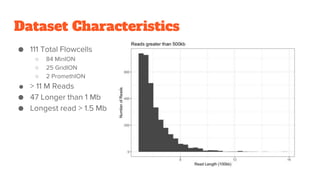 New data from giab genomes intro and ultralong nanopore | PPT