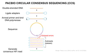 New data from giab genomes pacbio ccs | PDF