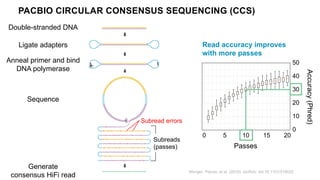 New data from giab genomes pacbio ccs | PPT