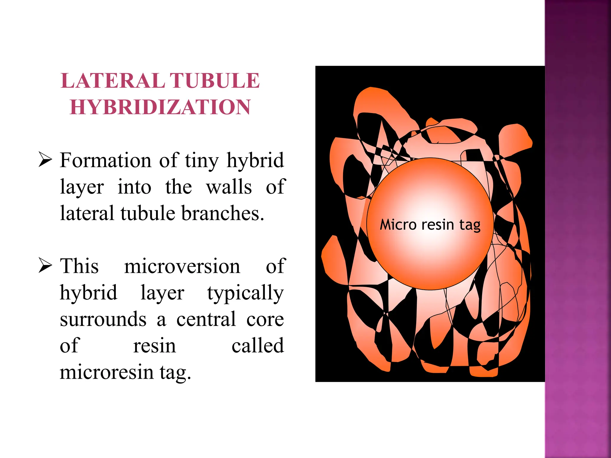 new dba-1(1).pptx DENTIN BONDING AGENTS GENERATIONS, ADVANTAGES N DISADVANTAGES | PPT | Free ...