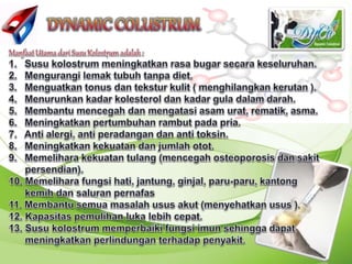 NEW DDN INDONESIA | PPTX