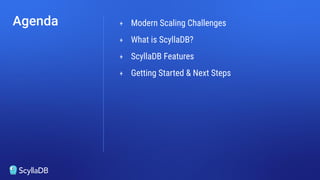ScyllaDB Virtual Workshop: Getting Started with ScyllaDB 2024 | PPT
