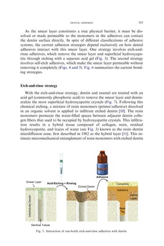 New developments in dental adhesion | PDF