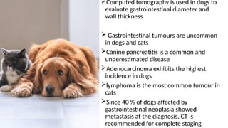 Modern diagnostic techniques for the gastrointestinal tract (GIT).pptx
