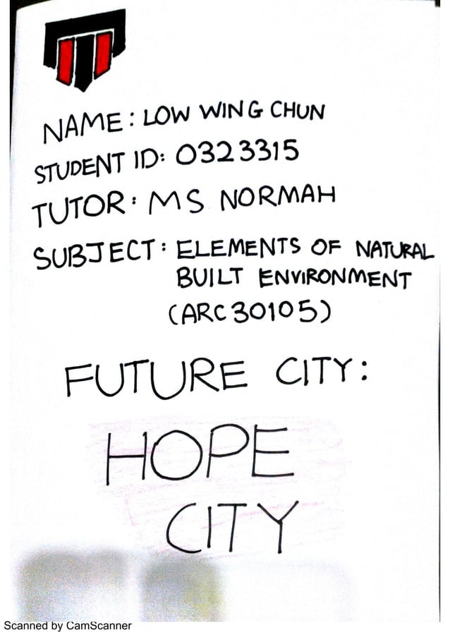 enbe individual pamhplet | PDF